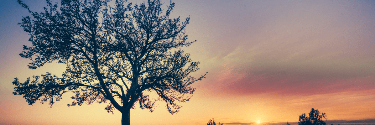 ‘Brain’ and ‘Getaway’ – Apricot Press